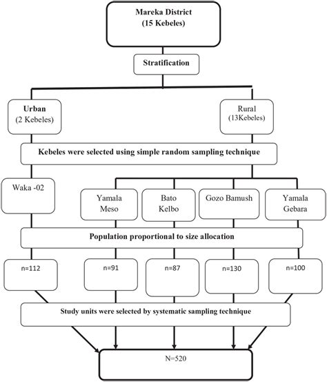 Schematic Representations Of The Sampling Procedure And Sampling