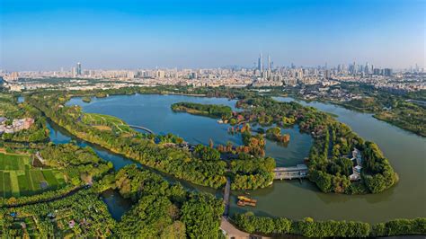 广东省着力打造湿地保护 广东样板” 关注森林