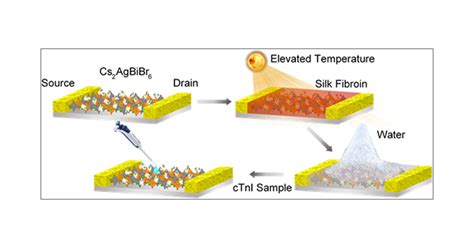 Biopolymer Encapsulated Two Dimensional Cs2agbibr6 Field Effect Based