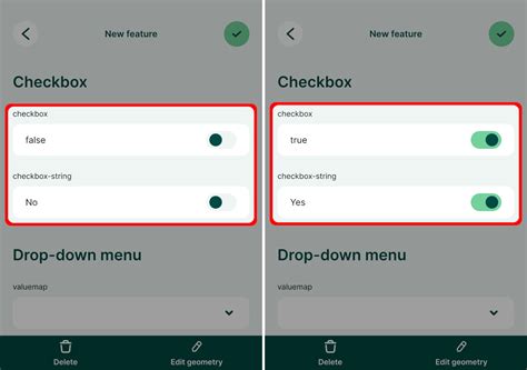 Setting Up Widgets In Attributes Form Mergin Maps