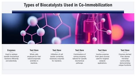 Types Of Biocatalysts Used In Co Immobilization Ppt Example St Ai Ss Ppt Example