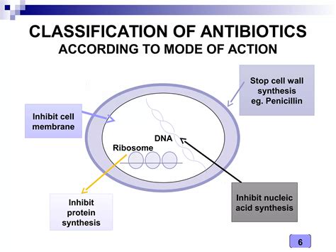 Medical Microbiology Laboratory Antibiotics Sensitivity Testing Pdf