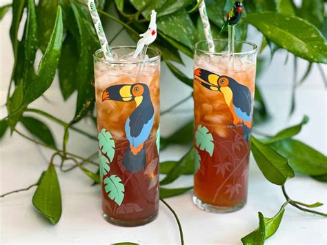 Jungle Bird Cocktail The Kitchen Magpie