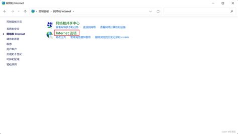 计算机未连接到互联网win11系统 Csdn博客
