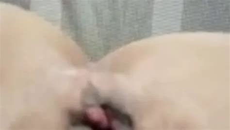 Free Cougar MILF Pussy Porn Videos XHamster