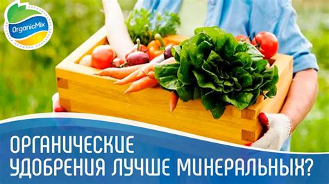 Почему органические удобрения лучше минеральных Минеральные