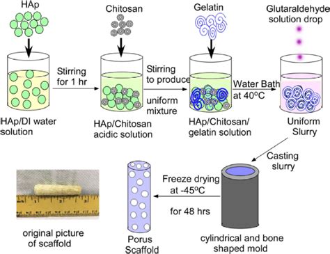 Schematic Diagram Of Nhapcsgel Based Biocomposite Scaffold