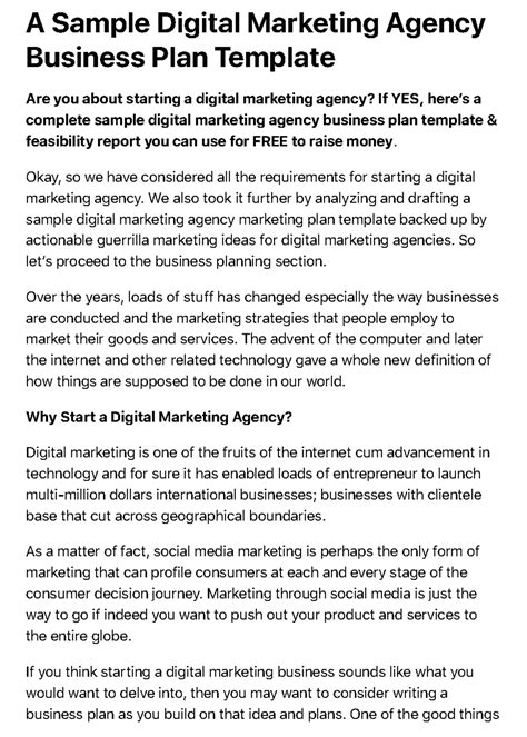 A Sample Digital Marketing Agency Business Plan Template Okay So We