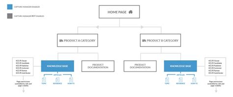 Implementation Strategy For Capture Manager Expert Success Center