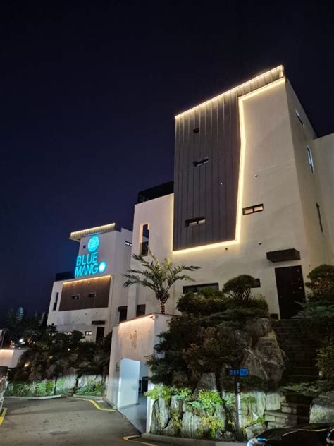여수 오션뷰 숙소 사계절 미온수 수영장 블루망고풀빌라 후기 네이버 블로그