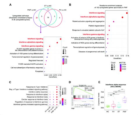 A Venn Diagram Of Enriched Reactome Pathways Of Upregulated Genes In