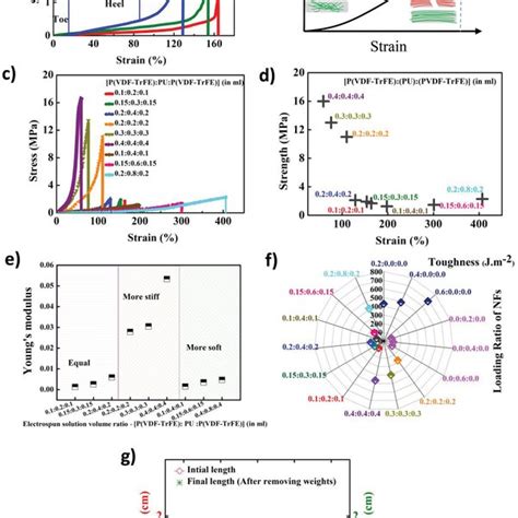 Nae Eung Lee Professor Full Phd Sungkyunkwan University Seoul Skku School Of