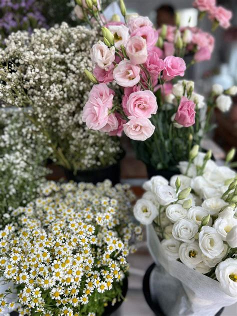 🌤ร้านเปิดทุกวัน9 00 20 00 🚀อยู่หลังตลาดจงเจริญ 200 เมตรค่า ร้านดอกไม้ศรีราชา Happy T Mascot