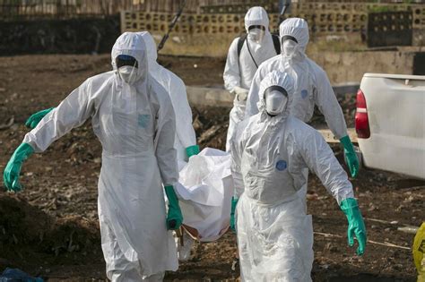 Roche Secures Emergency Approval By Us Regulators For Ebola Test Wsj