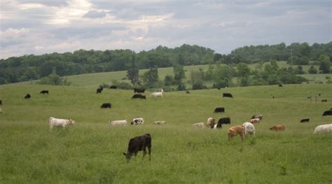 Farm Credit Of Virginias Announces Chief Credit Officer Morning Ag Clips