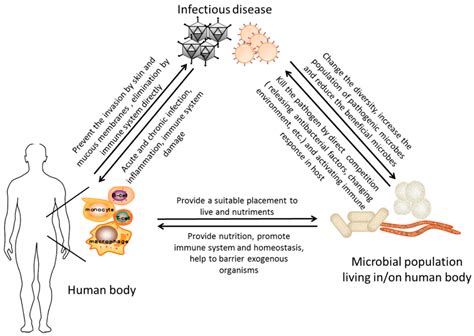 Ijms Free Full Text Metagenomics A New Way To Illustrate The Crosstalk Between Infectious