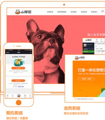 深圳市贝德汇软件有限公司 深圳app开发 深圳软件开发公司 物联网系统 app小程序开发