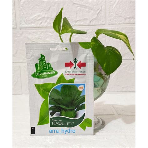 Jual Biji Pakcoy Pakcoy Panah Merah Shopee Indonesia
