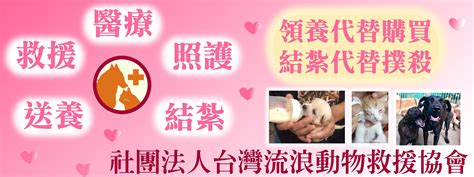 照生會 貓狗119 Lco 虎哥說：800 隻毛孩子生命不可等，必需先動工，款可以再慢慢募 ～ 因為，阿虎認為我們照生會 800 隻毛孩子
