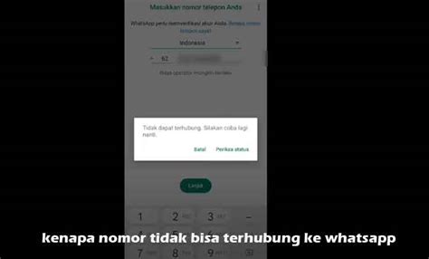 Ketahuan Kenapa Nomor Tidak Bisa Terhubung Ke Whatsapp Ini 4 Penyebab