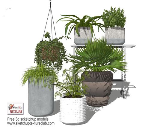 17 Sketchup 3d Plants In Pots Collection 3 By Sketchup Texture Team
