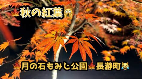 🍁秋の紅葉🙀月の石もみじ公園🍂長瀞町😹 Iphone15promax Youtube