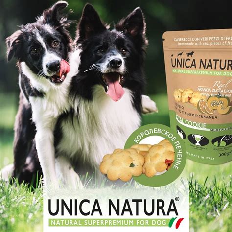 Unica - корма супер-премиум класса из Италии - Королевское лакомство ...