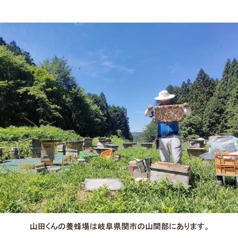 西洋ミツバチ 種蜂 越冬6枚充群 盛りかけ巣枠1枚群 ミツバチ巣箱従来型10枚タイプ新品 入門編dvd付き 山田くんの養蜂場 通販