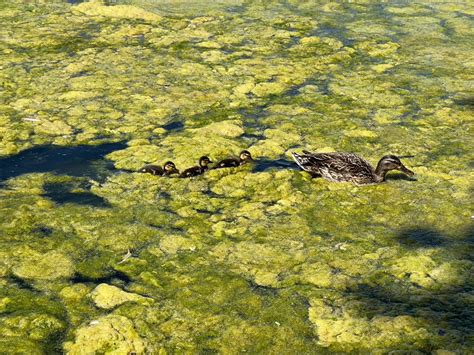 Anna Stuart On Linkedin Having One Of Those Days Does It Ever Feel Like Youre