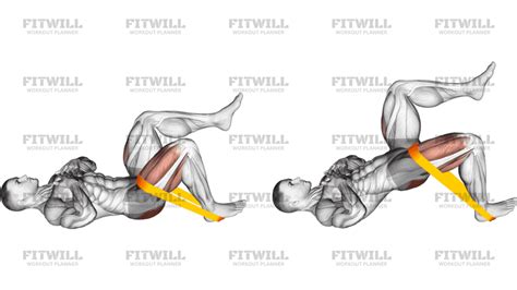 Ponte Para Glúteos Com Faixa Elástica Guia De Exercício Vídeo Técnicas Benefícios Como