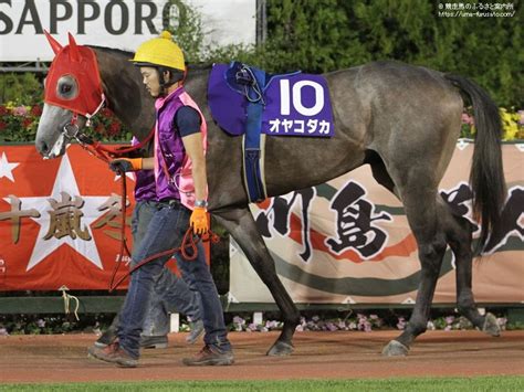 ブリーダーズゴールドジュニアカップはオヤコダカが完勝 馬産地ニュース 競走馬のふるさと案内所