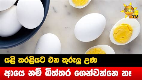 යළි කරළියට එන කුරුලු උණ ආයෙ නම් බිත්තර ගෙන්වන්නෙ නෑ Hiru News Youtube