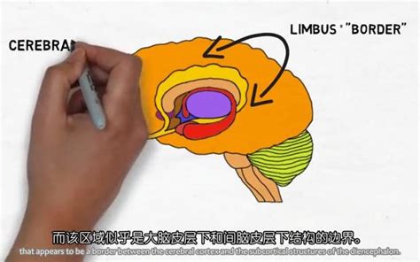 Bio