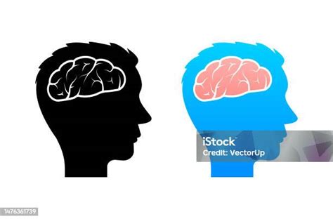 Human Brain Medical Internal Organ Neural Network Brainstorming Idea