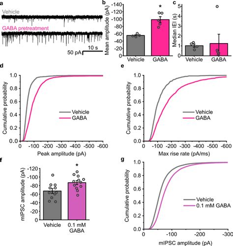 Gaba Causes A Long Term Increase In Inhibitory Synapse Efficacy A Download Scientific Diagram