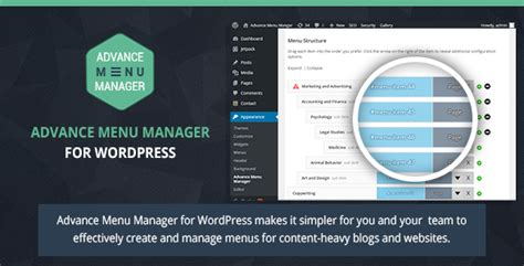 Top Wordpress Menu Plugins To Use In 2016 Multidots