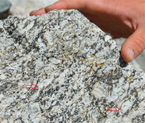 Pour Les Beaux Yeux Du Gneiss Parc National Des Ecrins