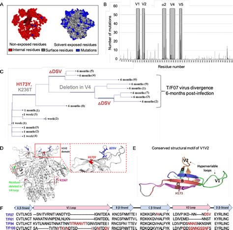 Figure 2 From A Genetic Shift In An Escaped Transmitted Founder Virus