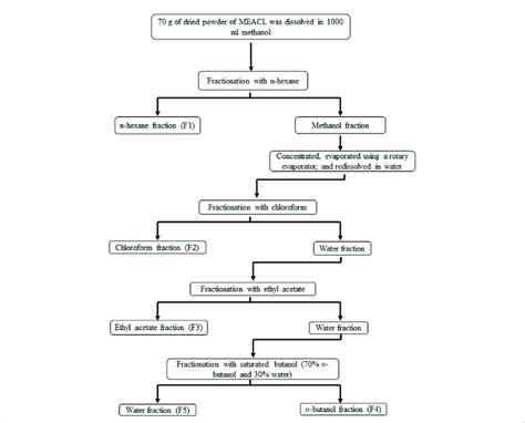 A Flow Chart Showing The Fractionation Of Meacl Download Scientific
