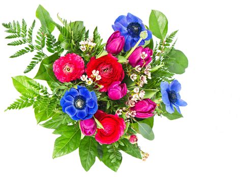 Букет картинка для детей на прозрачном фоне