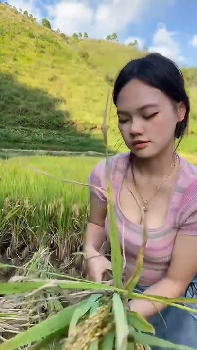 如果厌倦了城里的生活，那么和我一起来农村生活吧！ 记录真实生活 我的乡村生活 三农 记录我的农村生活 Youtube