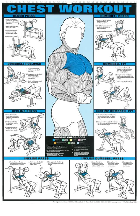 Printable Dumbbell Chest Workout