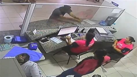 Vídeo Vira lata caramelo é flagrado roubando marmita de entregador e