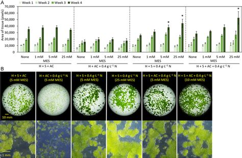 Effects Of Four Types Of Modified Hatcher Media Supplemented With 0 1 Download Scientific