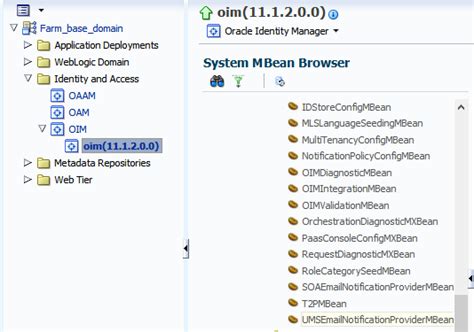 OIM 11g R2 PS2 11 1 2 2 0 Email Notification Services