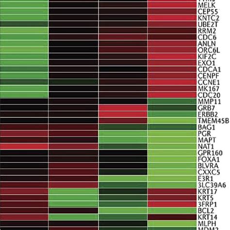 Prediction Analysis Of Microarrays Pam 50prosigna Molecular