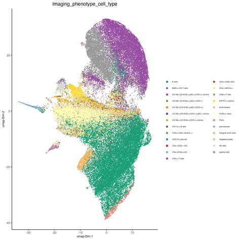 Codex Mouse Spleen • Giotto