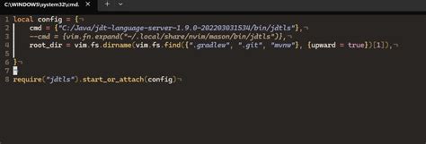 need help setting up java lsp with mason r neovim