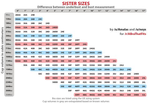 Bra Fitting Graphics Artofit