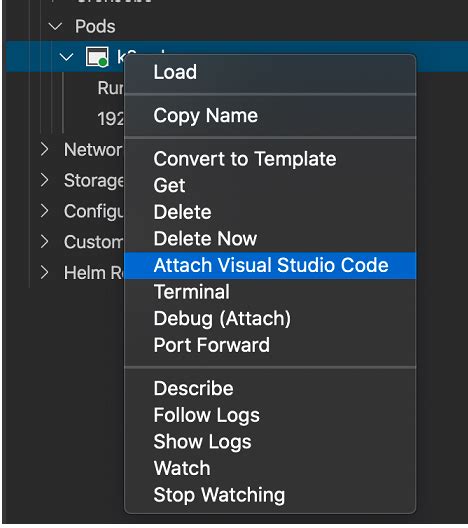 X11 Forwarding When Attached To A Running Pod · Issue 849 · Vscode